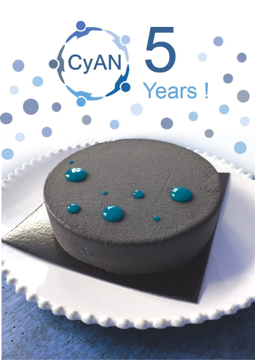 CyAN: “5 years on the road and alive!” – Cybersecurity Advisors Network